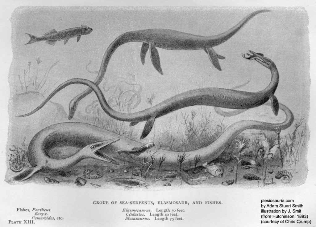 Life restorations – Plesiosaur Directory