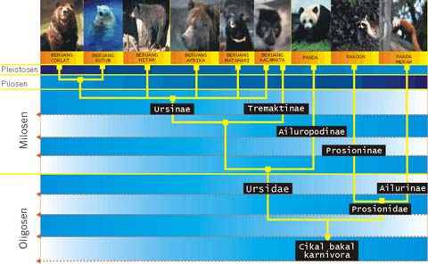 Klasifikasi Makhluk Hidup | SCIENTISTS EXPERIMENT