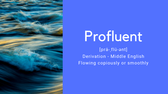 That’s the Word For it: Profluent – Booknomics