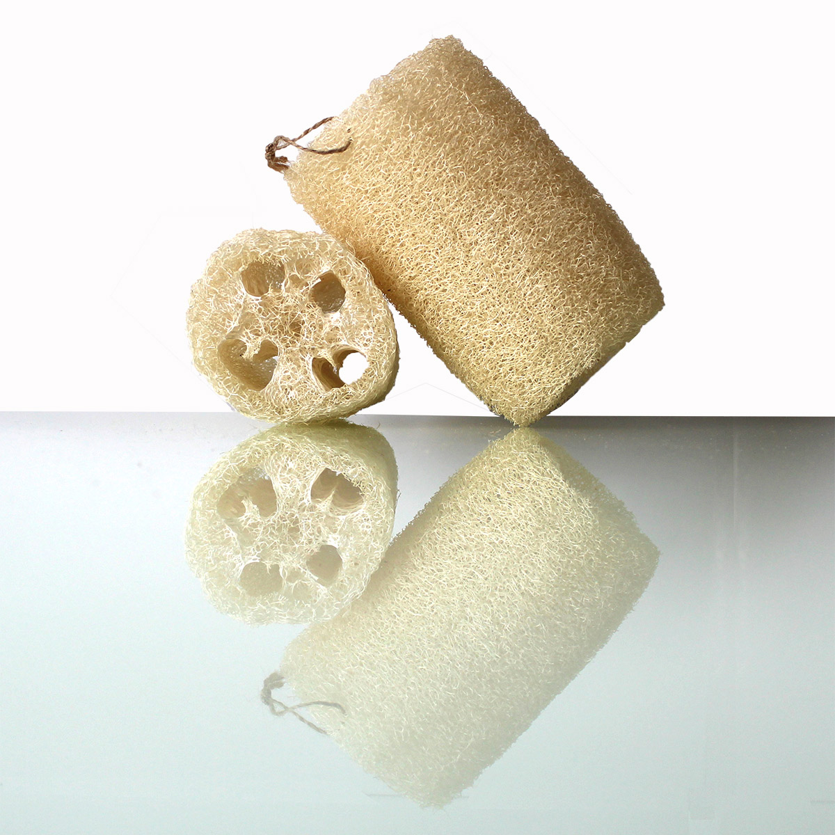 LUFFA, LA ESPONJA VEGETAL Y SOSTENIBLE - Prosigo Magazine