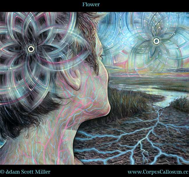 Dream Worlds: The Visionary Art of Adam Scott Miller - Psychedelic Frontier
