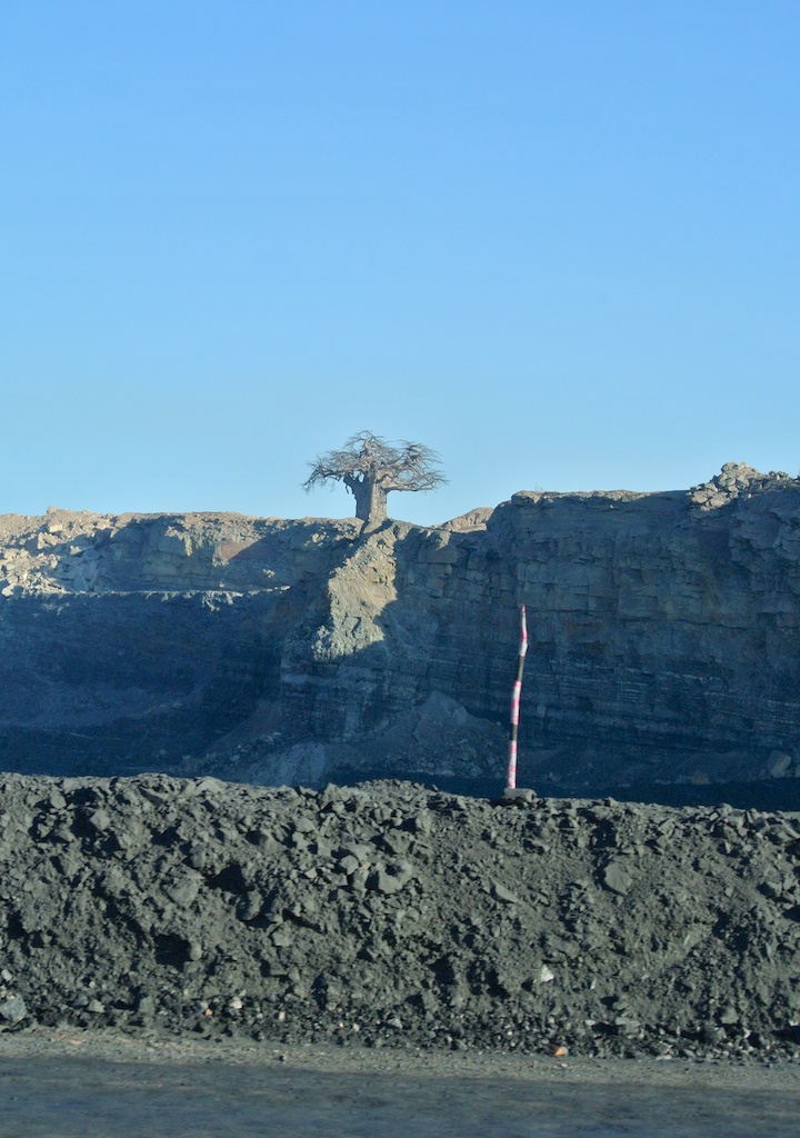 Kashawe Camp: Hwange National Park, Zimbabwe – Pull That Cork