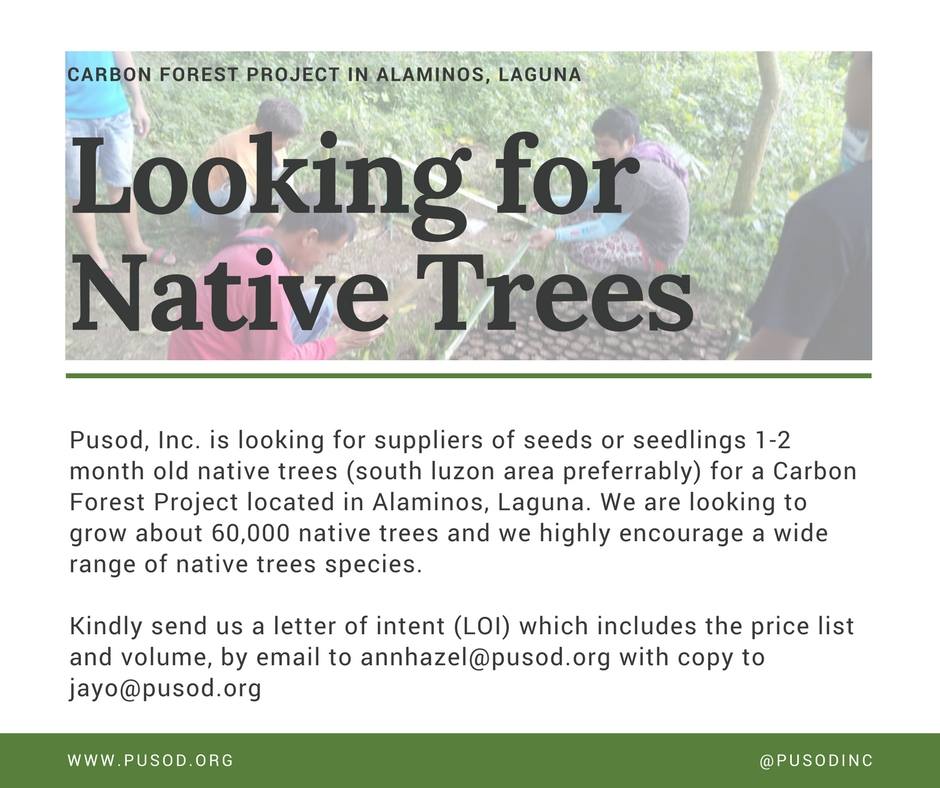 Looking for Native Trees | Pusod Inc.