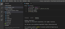 Python Last Element In Array