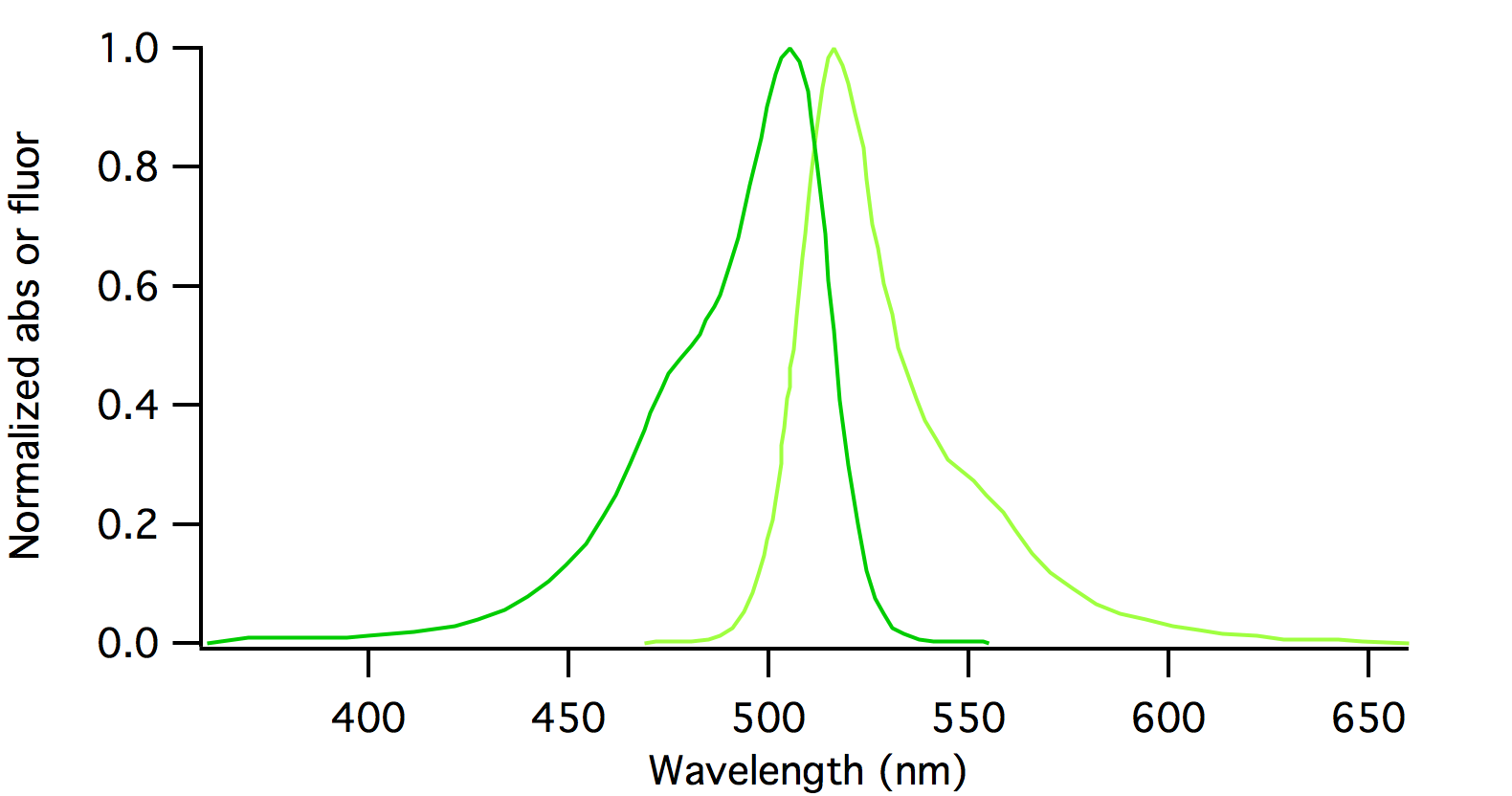 Green is the Colour: mNeonGreen spectra – quantixed