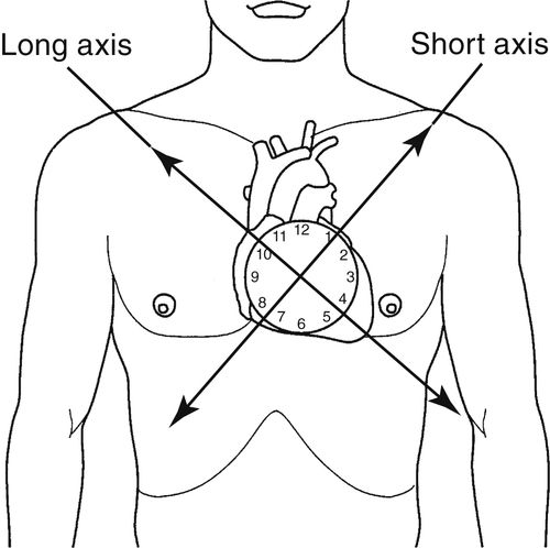 Adult Echocardiography Scanning Protocol | Radiology Key