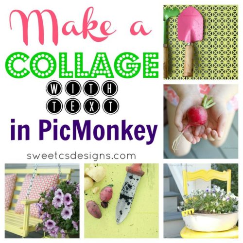Picmonkey Tutorials, Tips and Projects