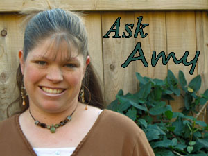 Ask Amy - Finding Rest