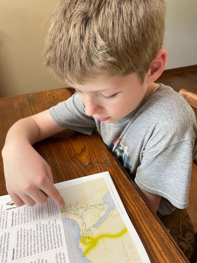 Tapestry of Grace Primer Review - Early Elementary History Based Curriculum