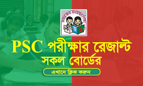 PECE Result 2019 How to Check Ι PSC Result 2019 Marksheet