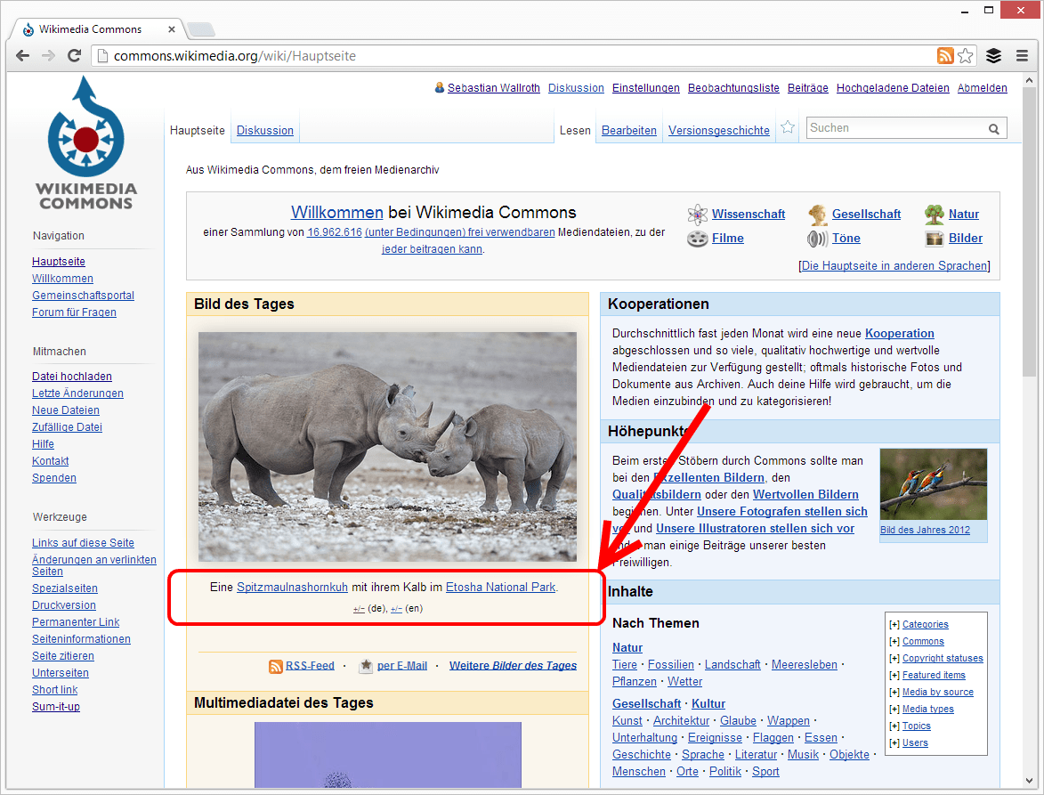 Wie Du in zehn Schritten zum Übersetzer der meistgelesenen ...