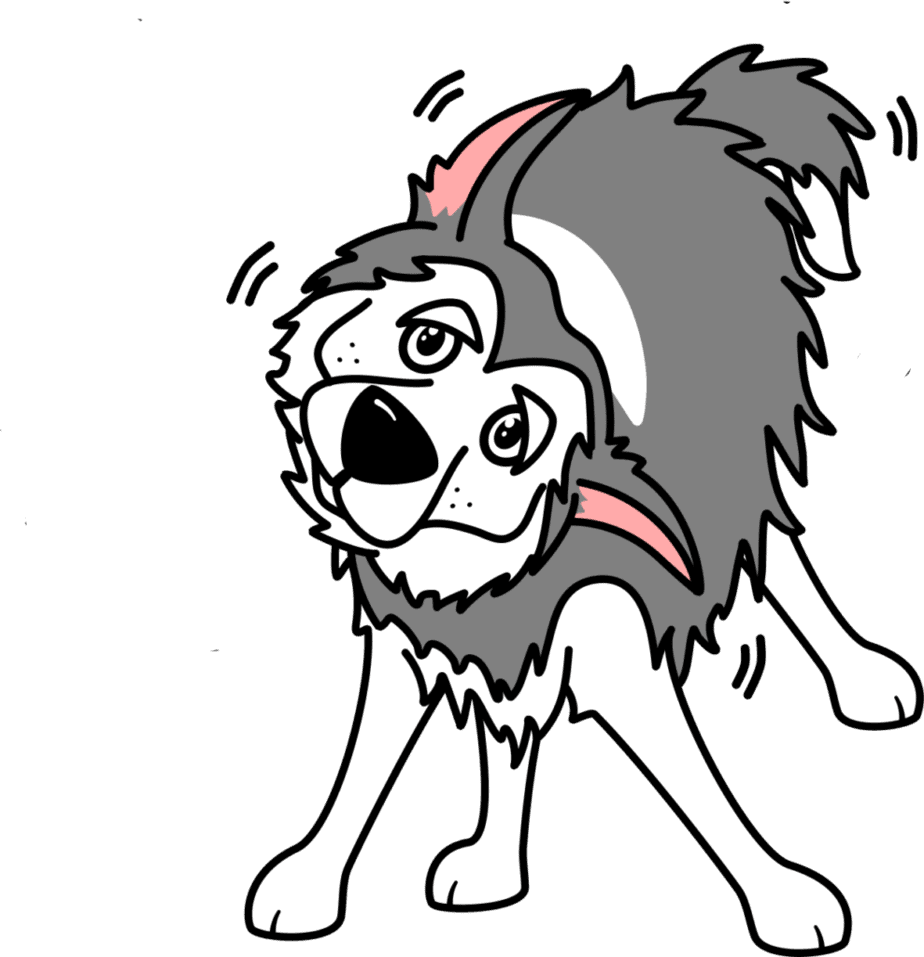 All About Displacement Behaviours In Dogs