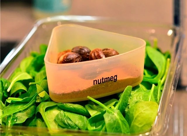 Butternut Squash Lasagna Recipe