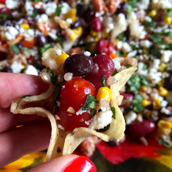 Mexican Bean and Rice Dip