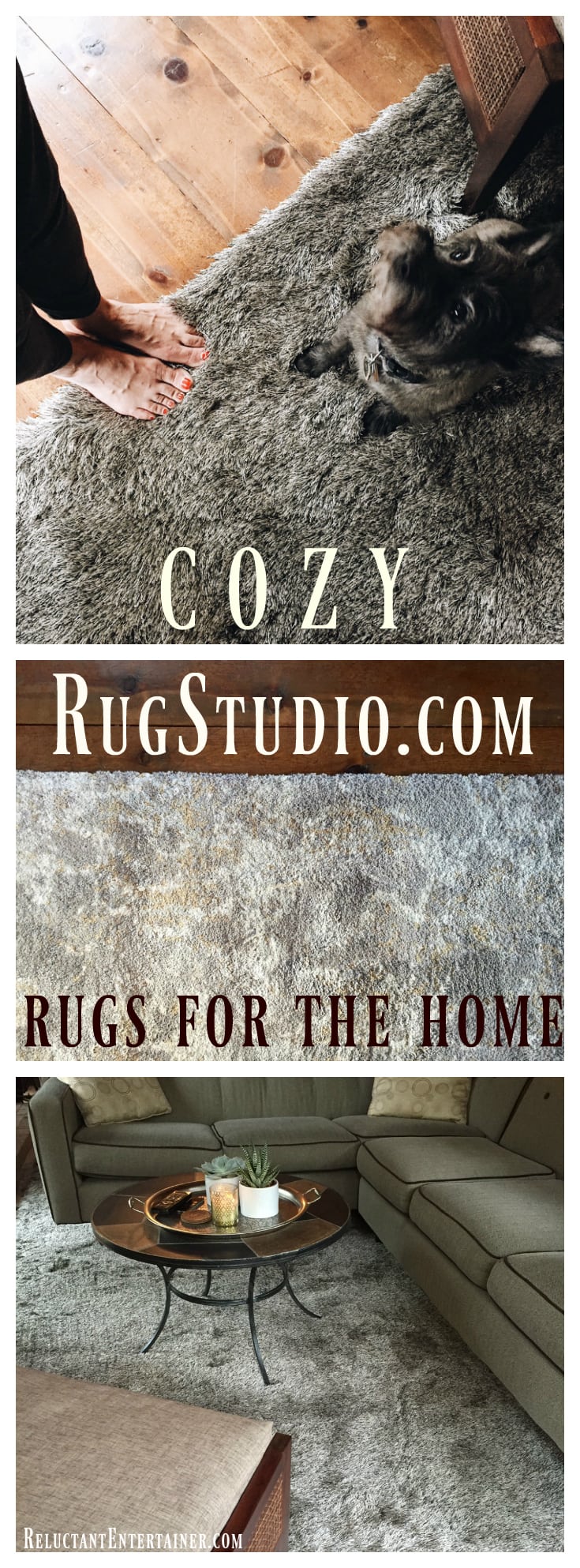 Cozy RugStudio Rugs for the Home - Reluctant Entertainer