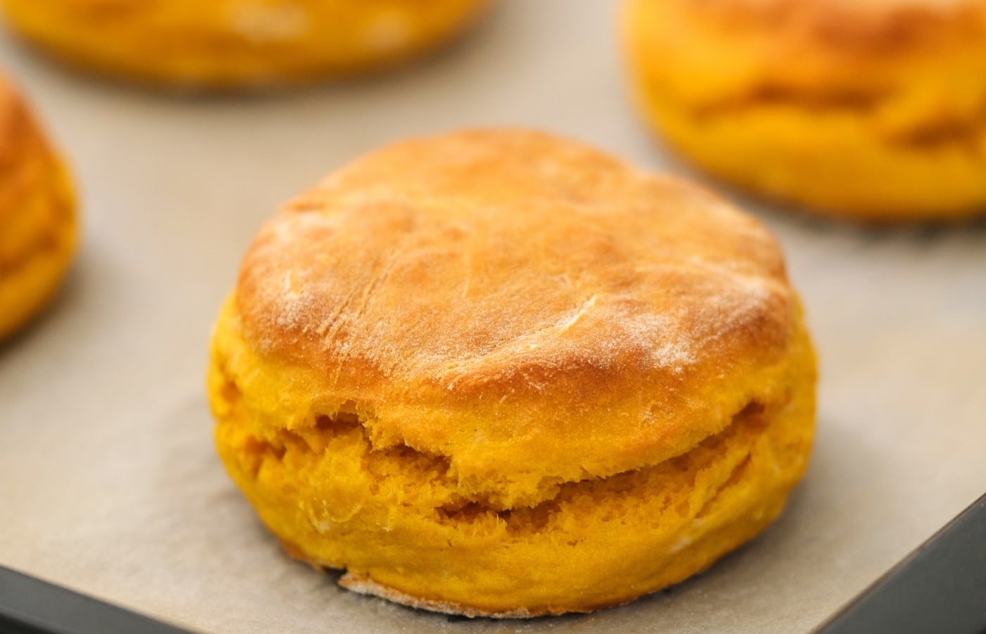 Best Pumpkin Biscuits Recipe - Reluctant Entertainer