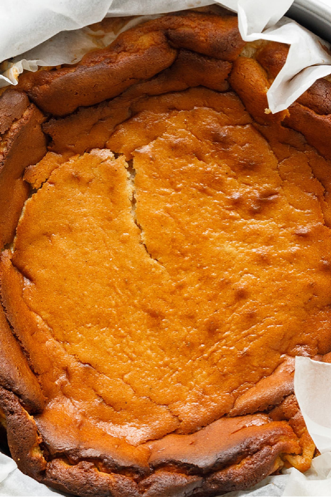 Butternut Squash Cheesecake - Reluctant Entertainer