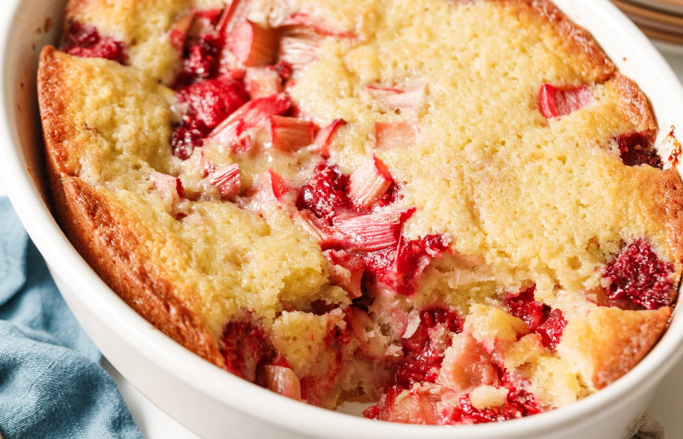 Raspberry Rhubarb Buttermilk Cake - Reluctant Entertainer