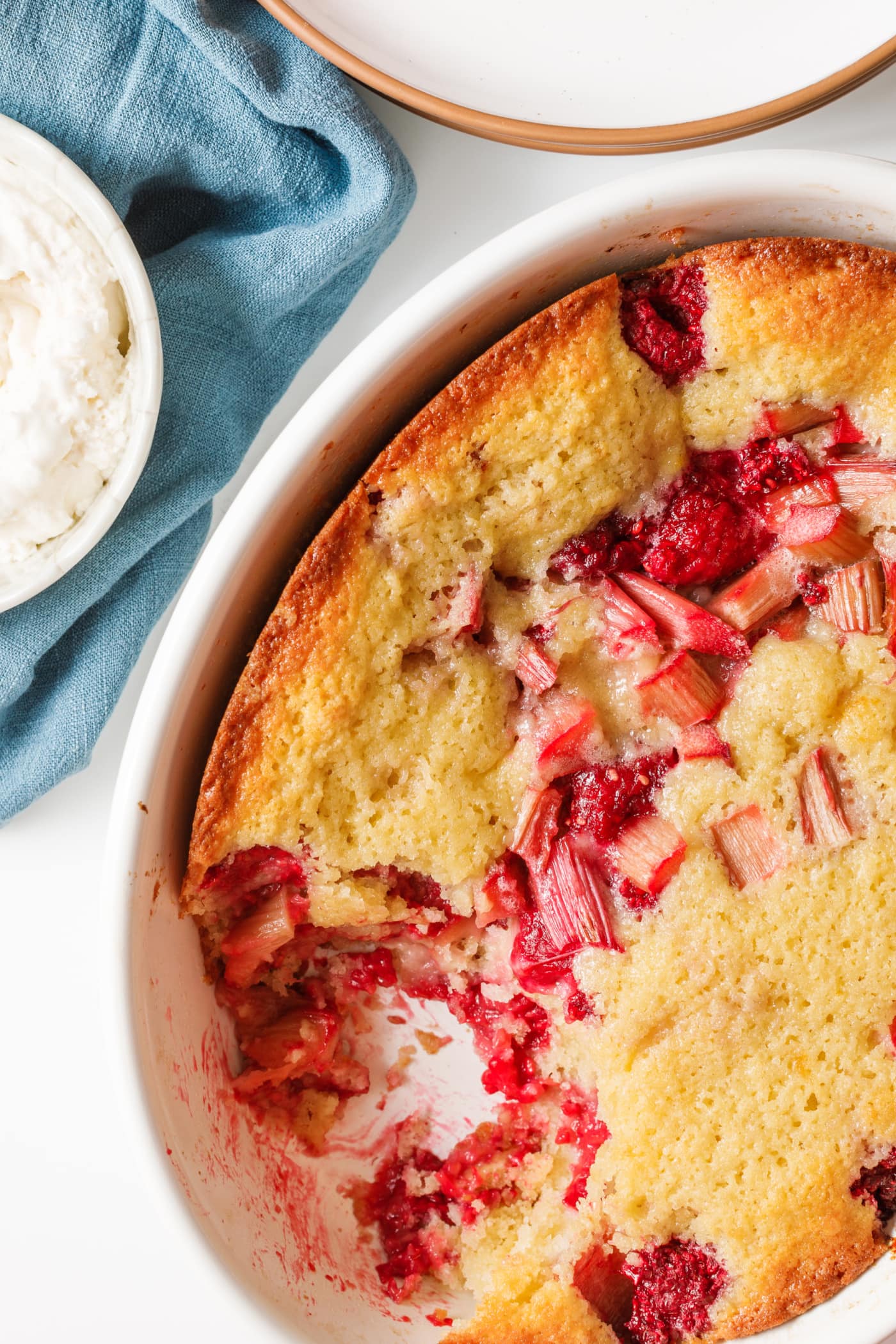 Raspberry Rhubarb Buttermilk Cake - Reluctant Entertainer