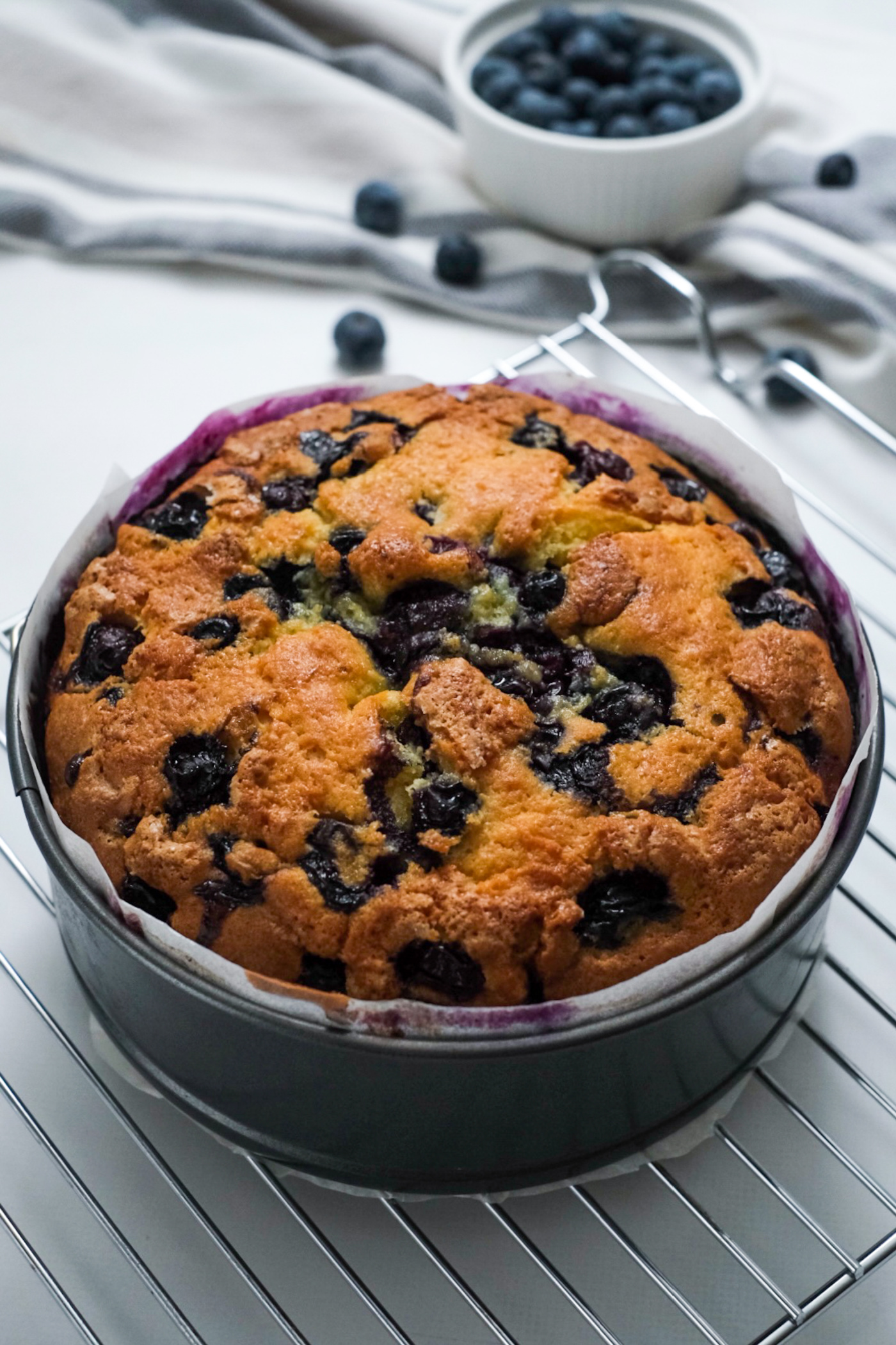 Sour Cream Blueberry Cake - Reluctant Entertainer