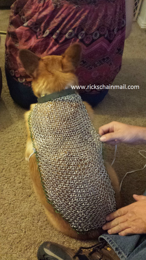 The Epic Corgi Adventure | Rick's Chainmail