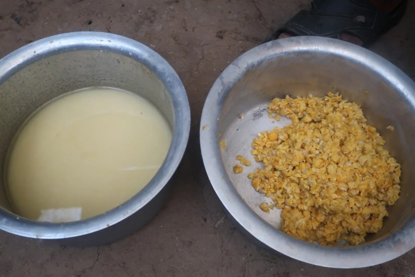 Experience the Organic Homemade Corn Beer in Sikkim - Rishabh Dev
