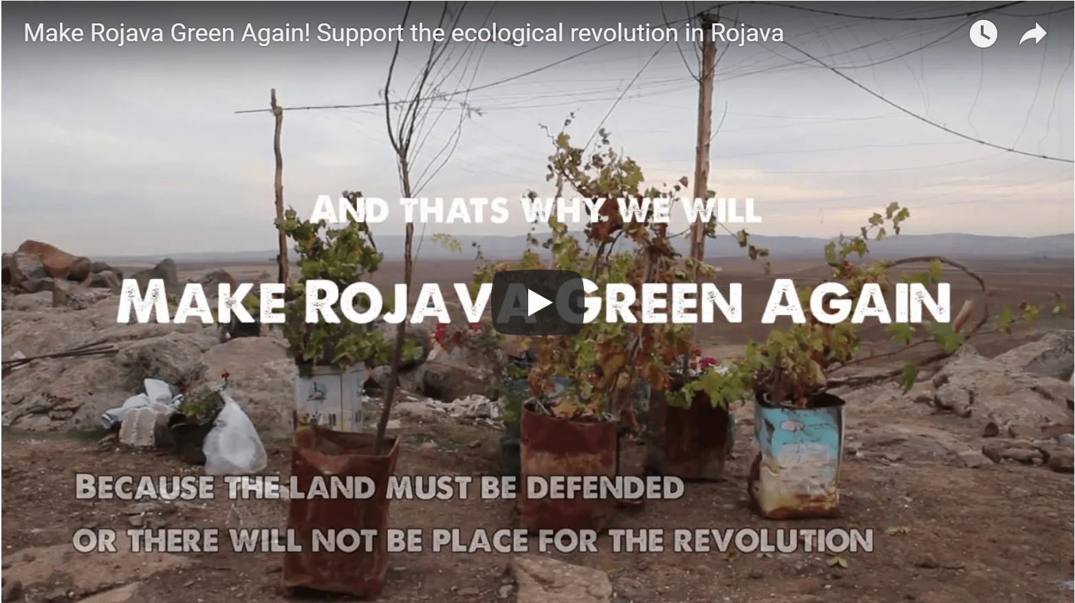 Campaña de donaciones para imprimir el libro "Make Rojava green again ...