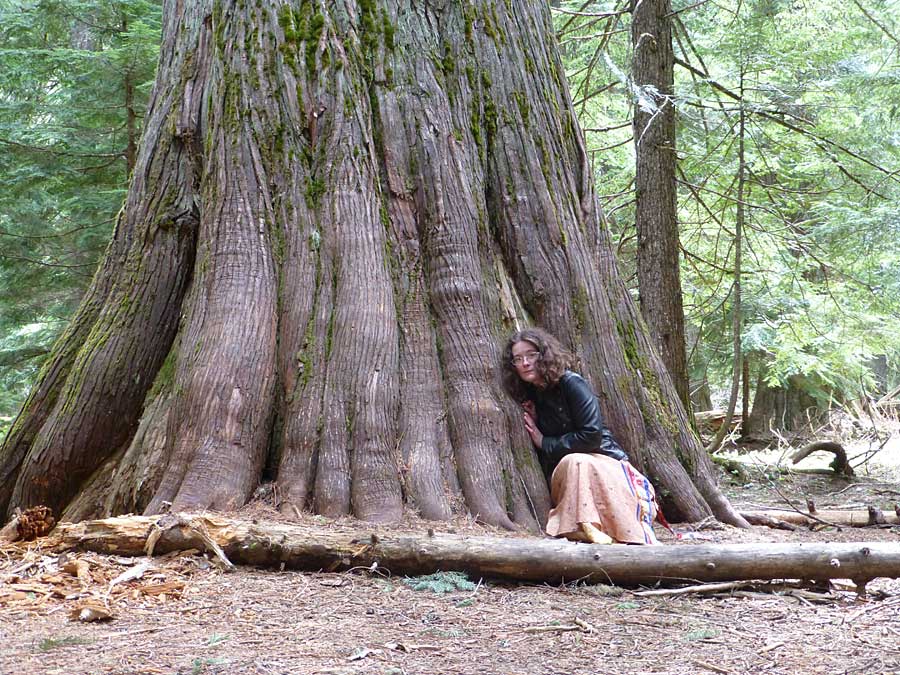 Ancient Tree Research Project~ Giant Cedars of Lebanon (Part 1) – Kat ...