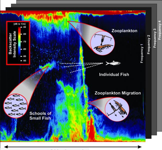 AI Plankton Bots Swarm And Swim To Help Save Blue Planet - Russ George