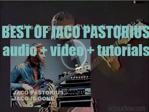 The chicken jaco pastorius wiki - rocklasopa