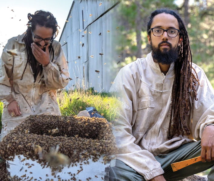 Local Black Beekeeper Cameron Redford Turns Honey Into Money - The ...