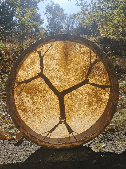 Shop | Sacred Drum Shamanic Workshop