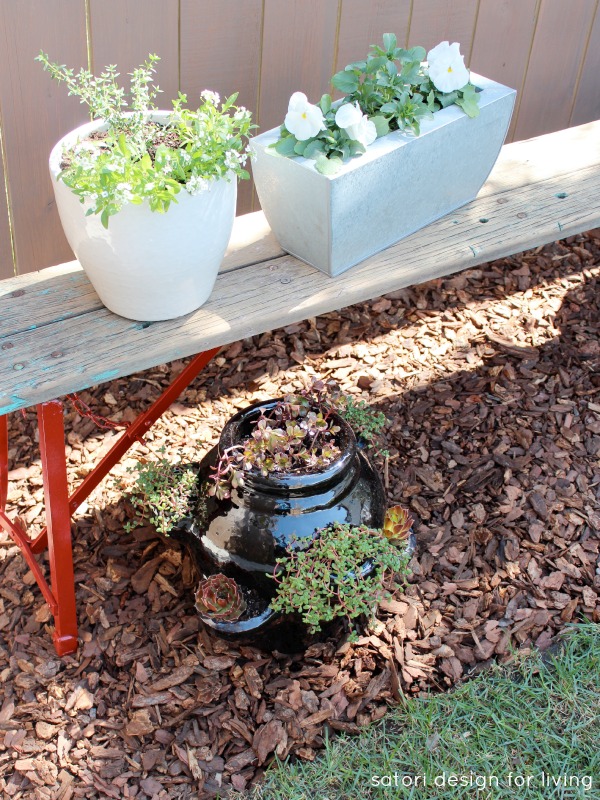 Weathered Bench Container Garden - Satori Design for Living