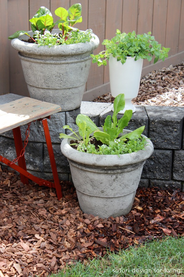 Weathered Bench Container Garden - Satori Design for Living