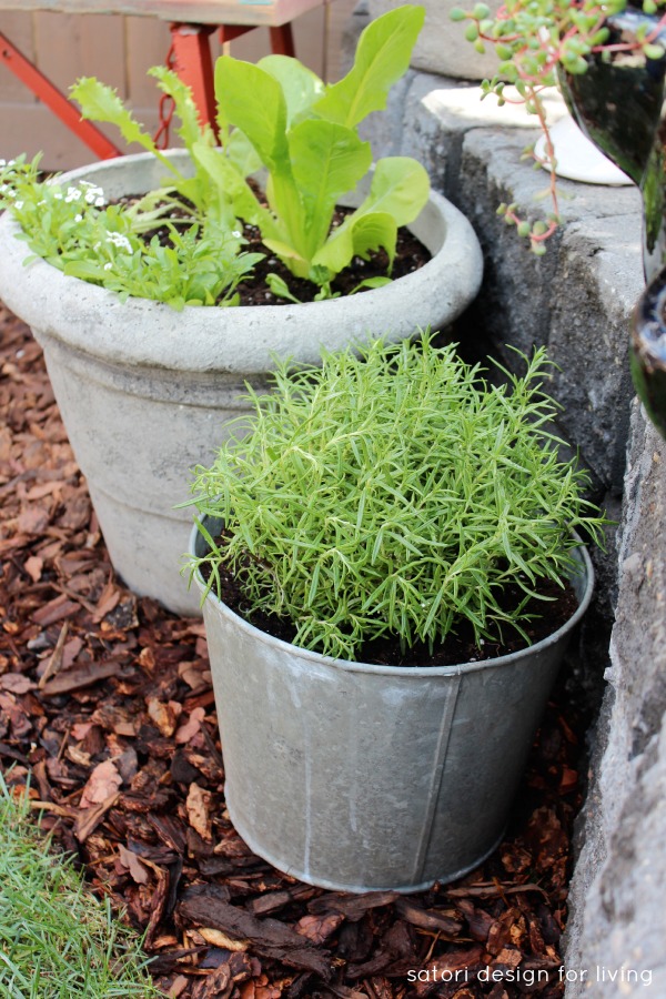 Weathered Bench Container Garden - Satori Design for Living