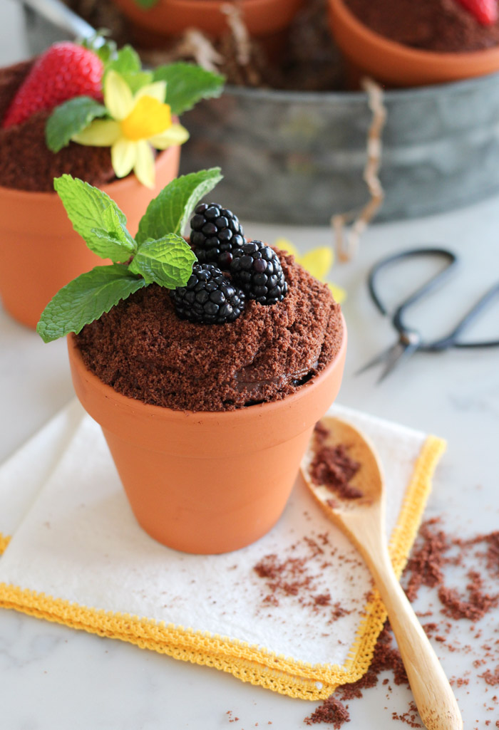 Spring Flower Pot Cakes - Satori Design for Living