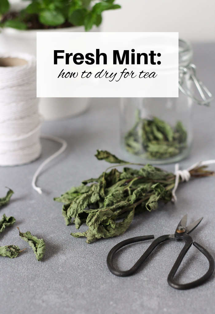 How to Dry Fresh Mint for Tea - Satori Design for Living