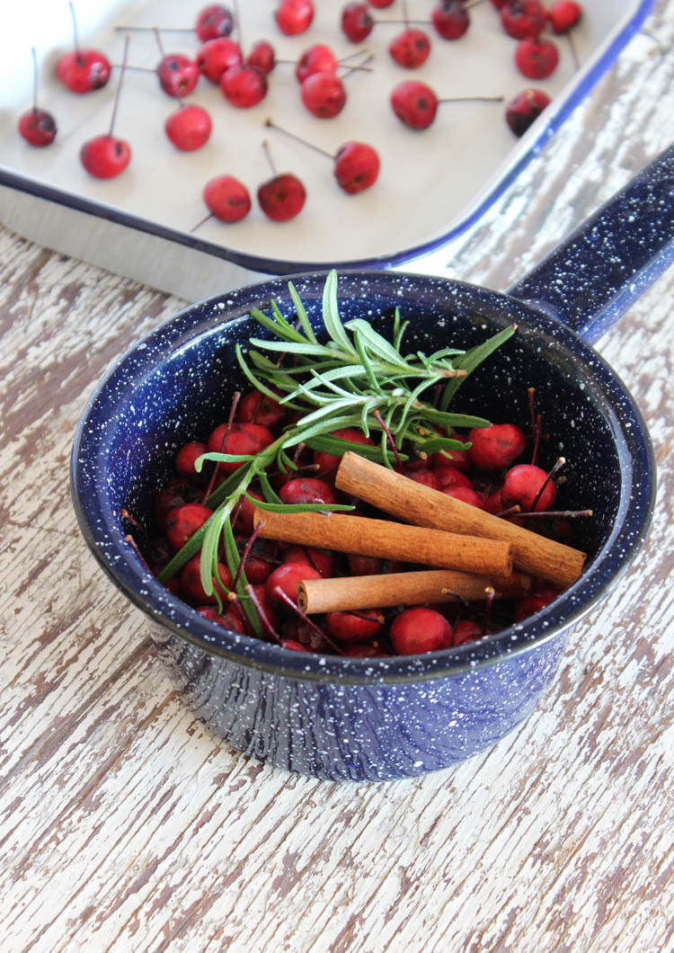 Scents of Fall Simmer Pot Recipe - Satori Design for Living