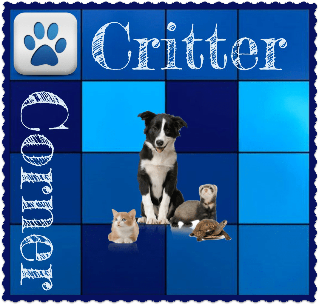 Introducing Critter Corner - Scribbles & Musings