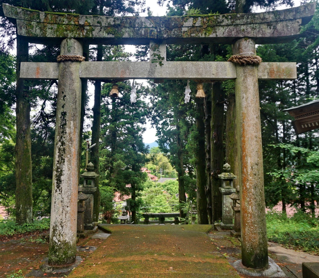 Out of Heaven’s Hand – Self-Propelling Particle