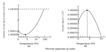 Anomalous expansion of water - Self Study Point