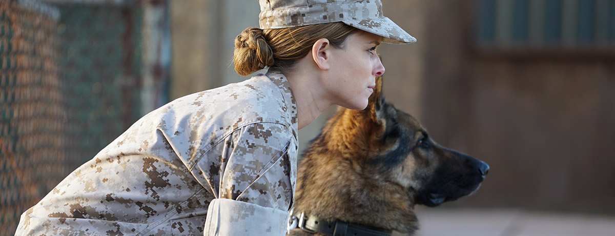 Rex - Film Review - Set The Tape