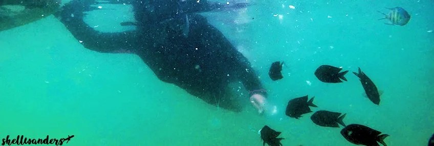 Top 10 Things To Do in Palawan » Shellwanders