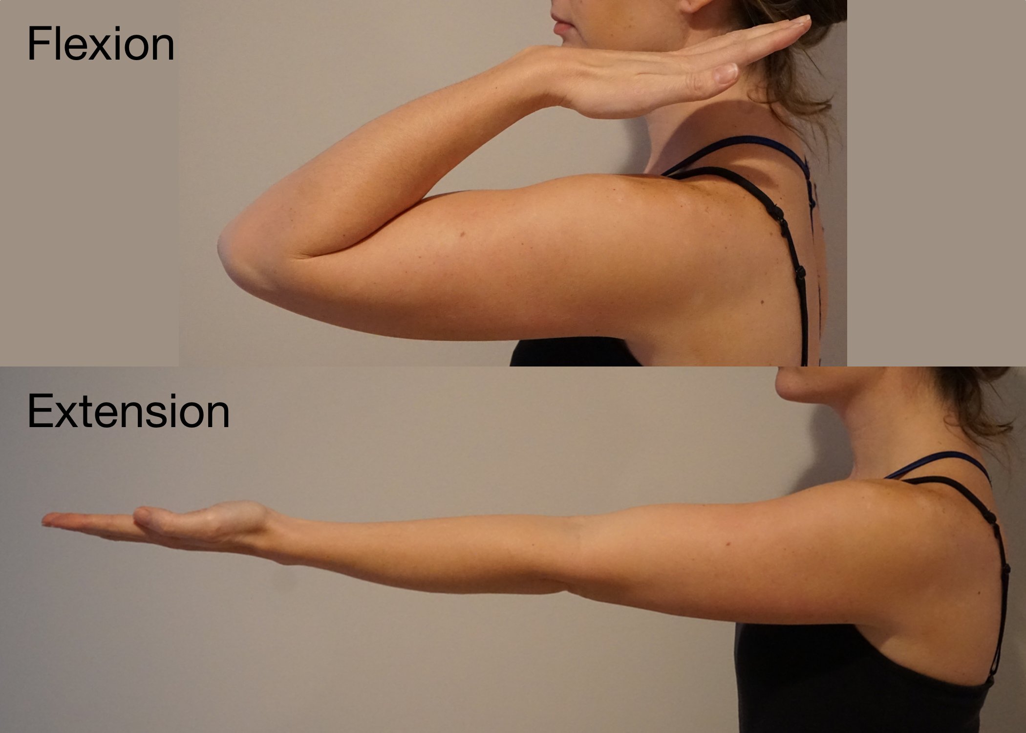 flexion-extension-shoulder-elbow