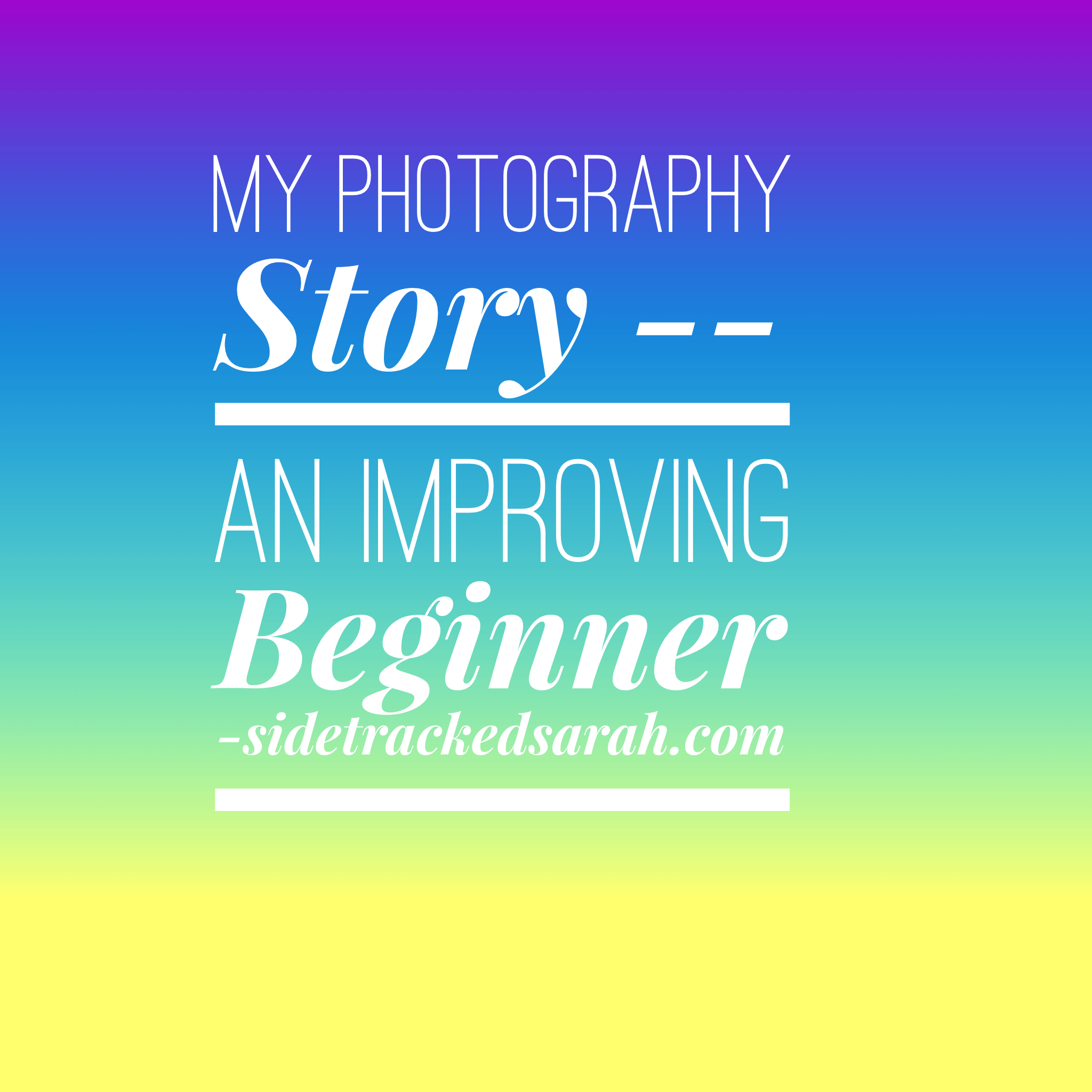 My Photography Story - An Improving Beginner | Sidetracked Sarah