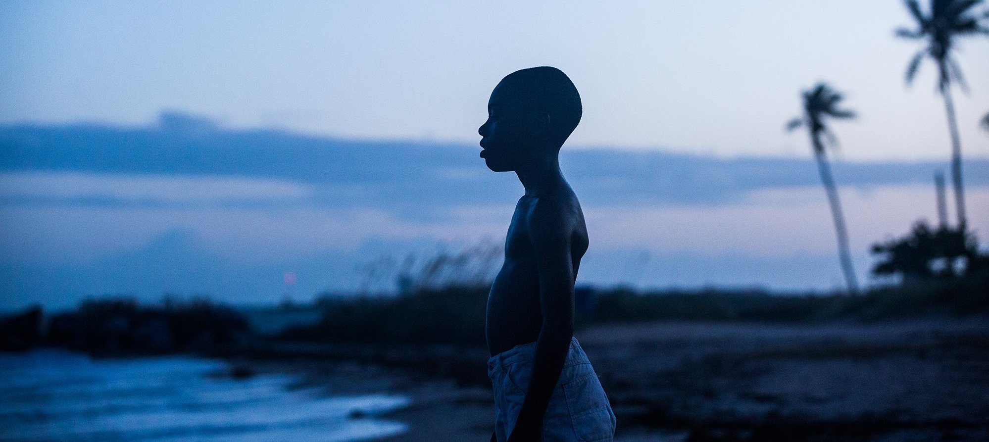 'MOONLIGHT' Takes Gold in 2016 Seattle Film Critics Society Awards ...