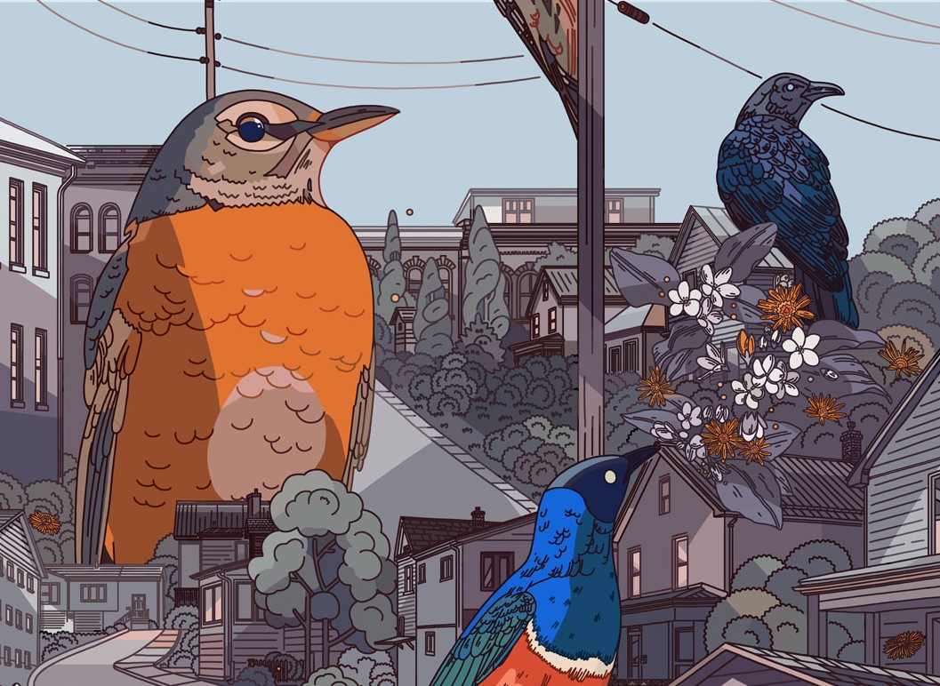 NEXT DOOR 2021 – Skeleton Park Arts Festival