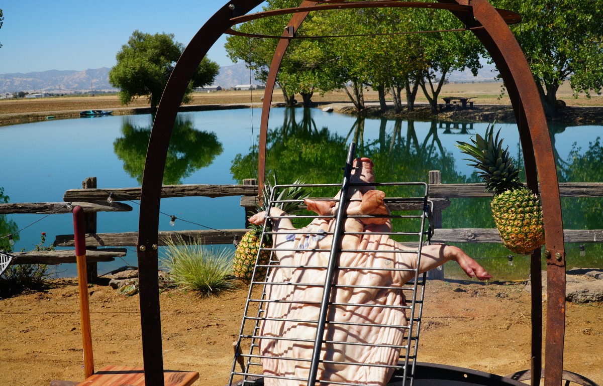 A New Barbecue Streaming Service Just Launched: We Attended the Embers ...