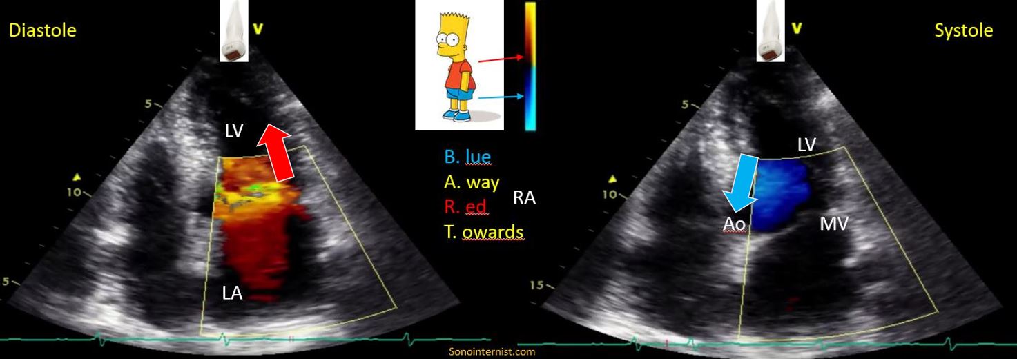 Internal Medicine Point of Care Ultrasound