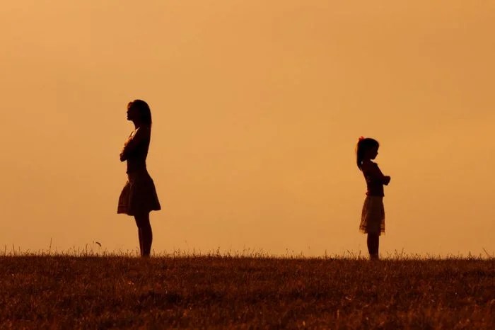 El distante - Fundación Sonría